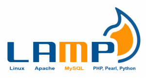 MEAN vs MERN vs MEVN vs LAMP Stack for Development